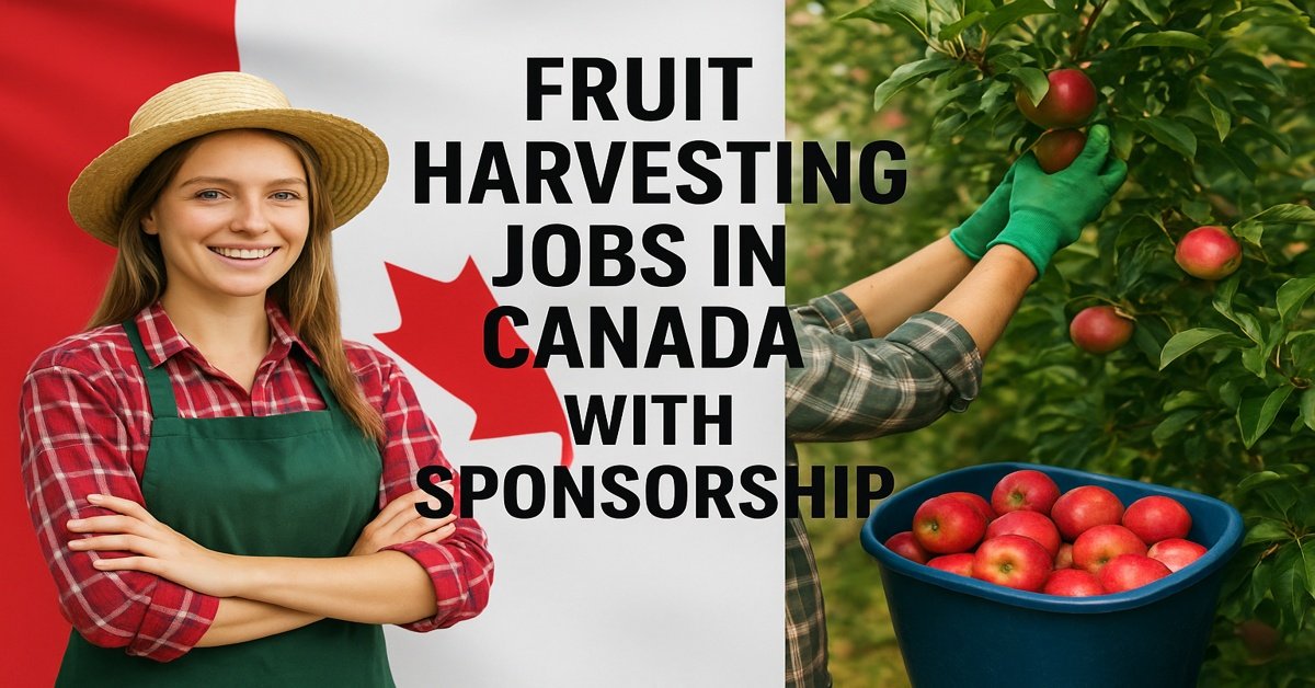 Fruit Harvesting Jobs In Canada With Sponsorship 2026