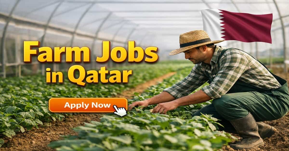 Farm Jobs in Qatar 2026 - Highest Paying Salaries